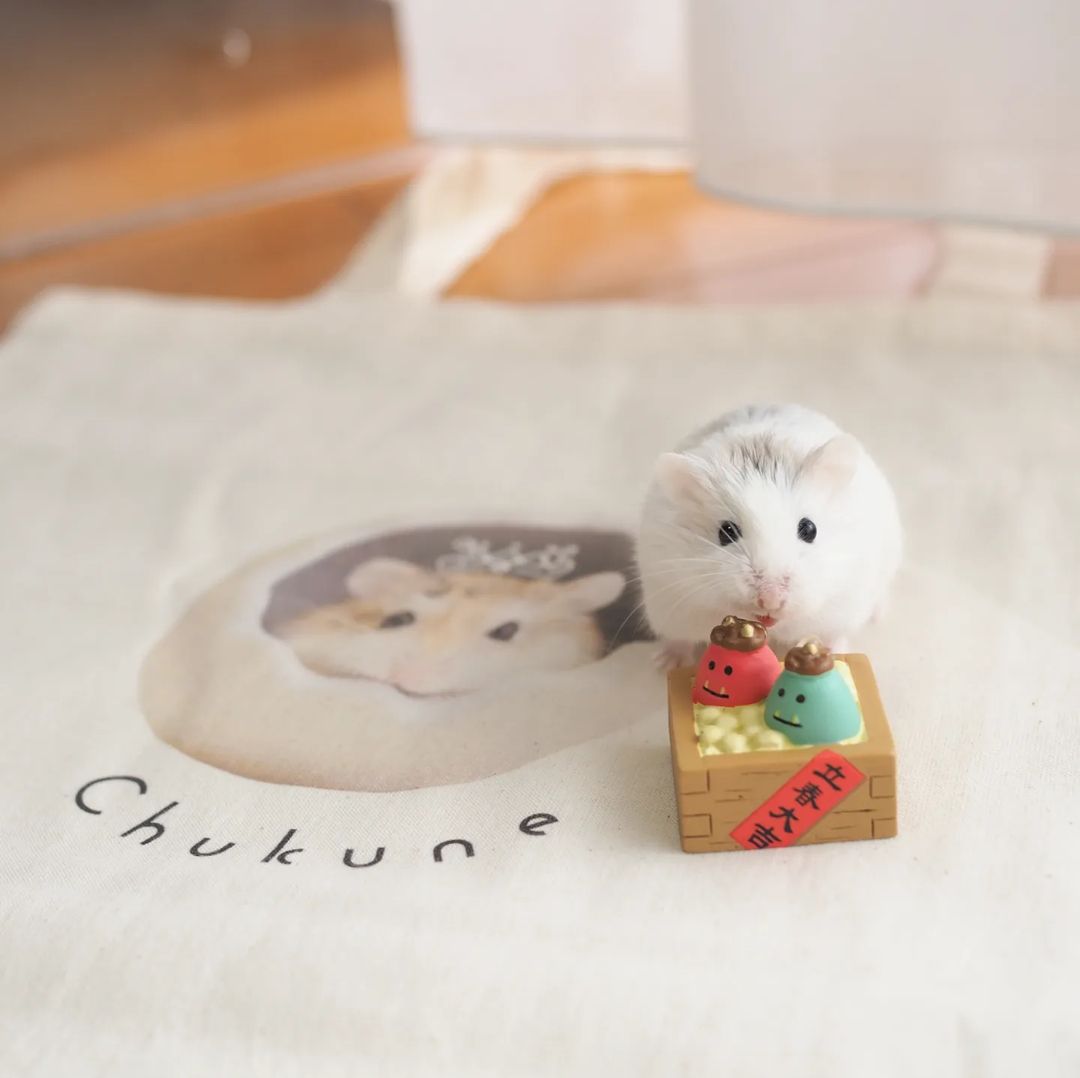 注文商品のご紹介 – pan_robo 様 - 株式会社小野ユニフォーム【公式】